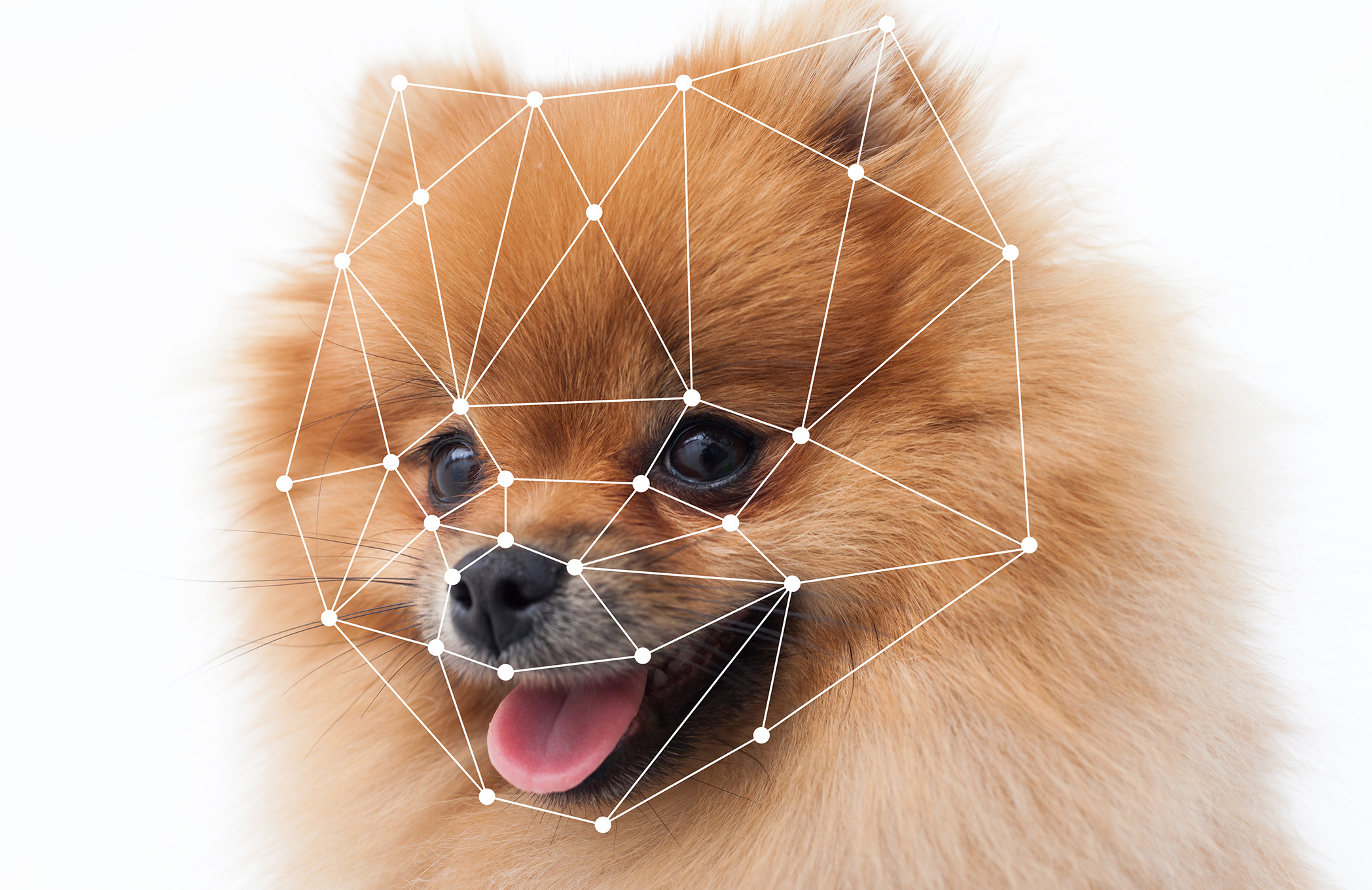 KAI: Ein Assistent für alle Fälle! - AKDB Newsroom